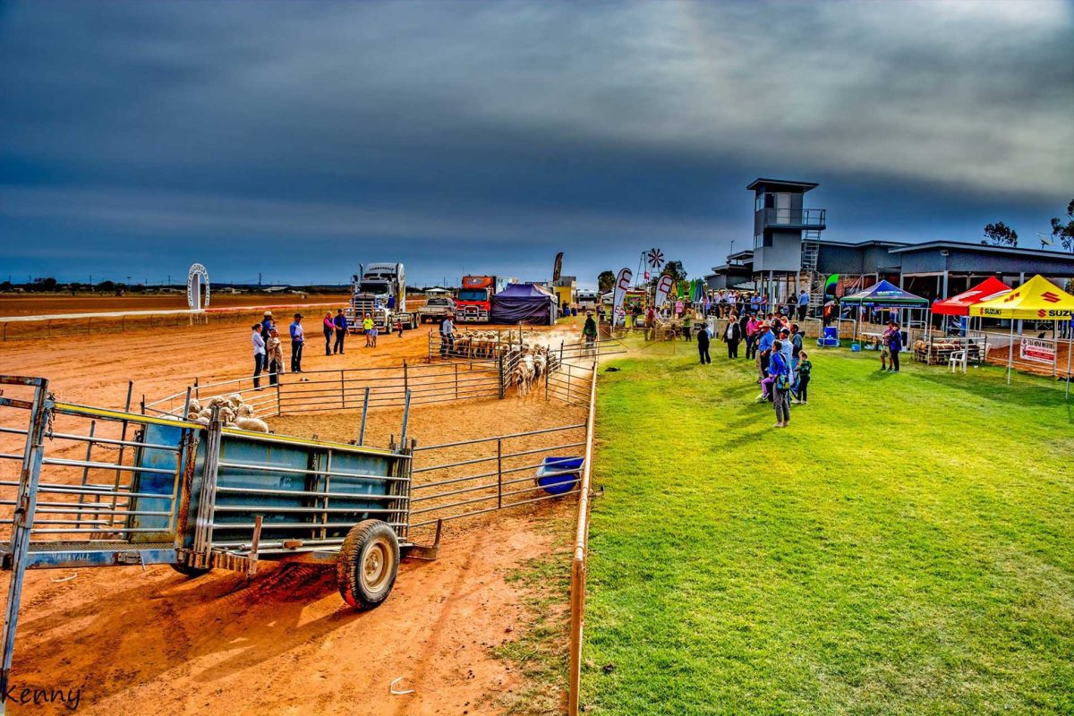 Visit Quilpie Shire - Visit Quilpie Shire